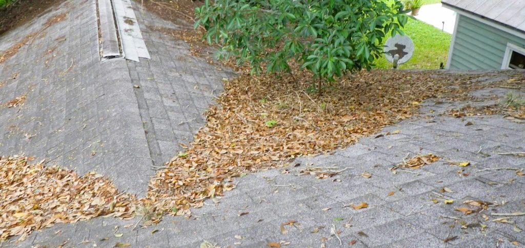 5 Reasons Why Pressure Washing Your Roof is a Smart Move
